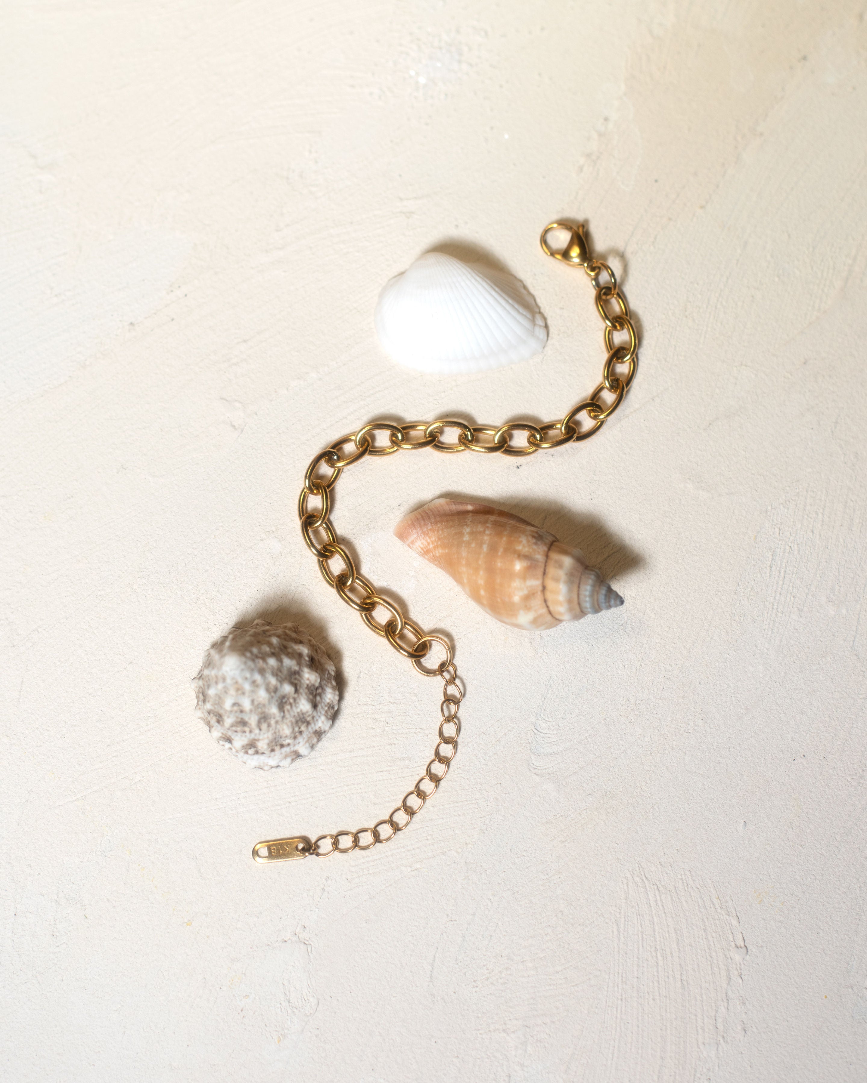 Latest Arrivals – Nadare Co.